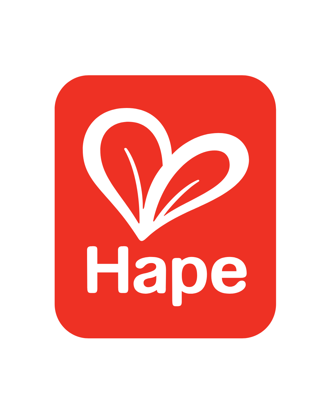 Hape 香港官方網站 | 德國優質木製益智玩具 | 0-6歲 STEAM 幼兒教育 – Hape HK